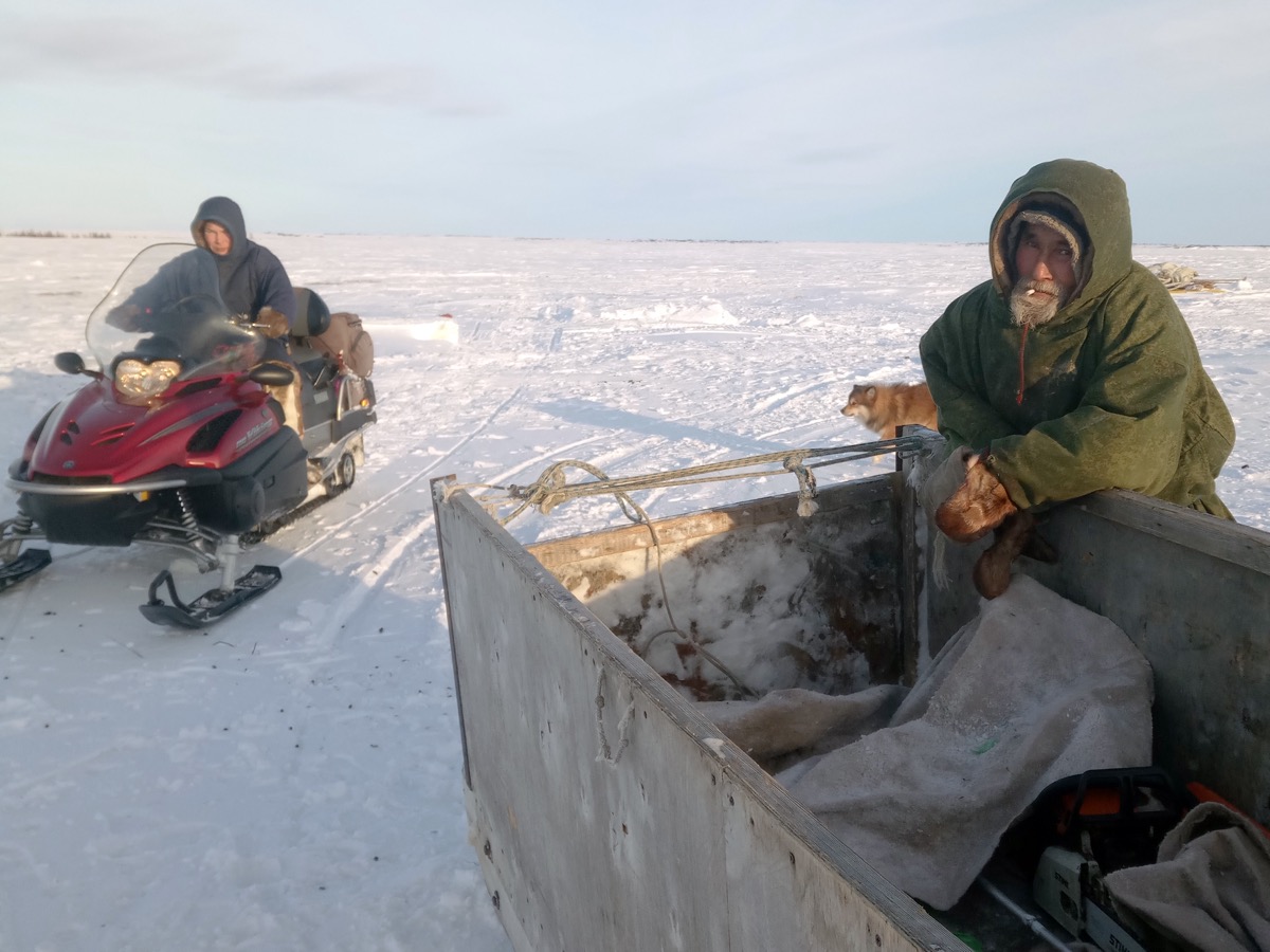 «Книга – в каждый чум» и «Бессмертный аргиш» – GoArctic.ru – Портал о развитии Арктики